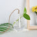 Small Glass Eclipse Vase - Decorstly