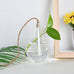 Small Glass Eclipse Vase - Decorstly