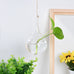 Small Glass Eclipse Vase - Decorstly